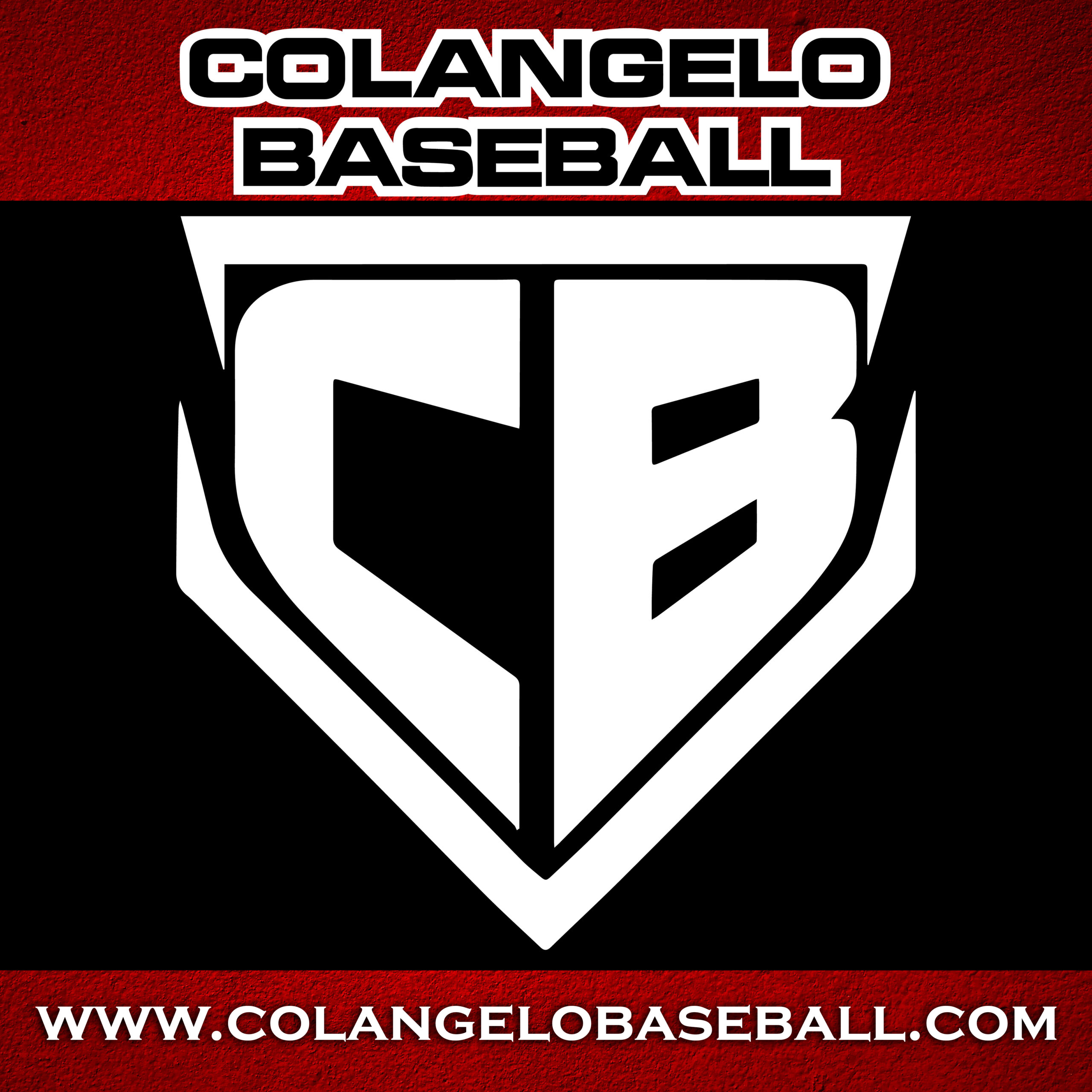 Our Partners - Stars Showcase Baseball